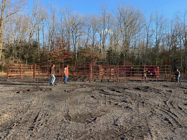 Finally a Corral For Our Bison | Family Owned Premium Bison Farm